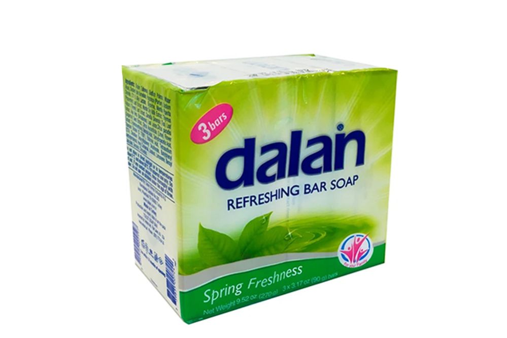 24 Bulk Dalan Bar Soap 3.17 Oz 3 Pk Spring Freshness - at ...